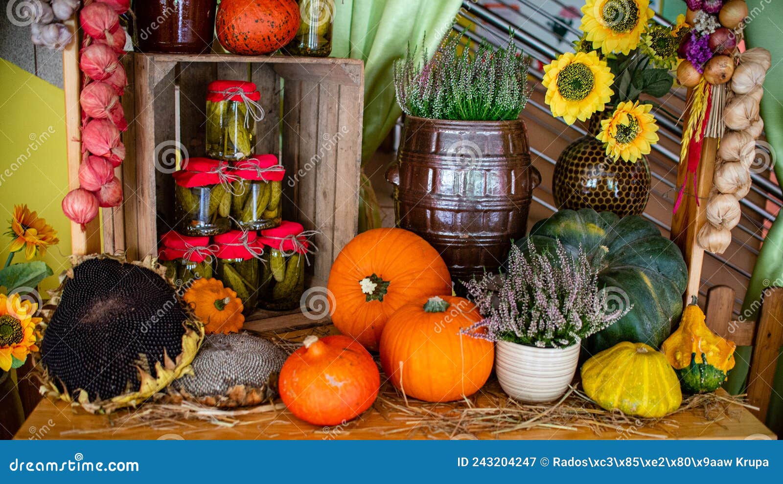 Fall Harvest - Vegetables on a Wooden Table Stock Image - Image of copy ...