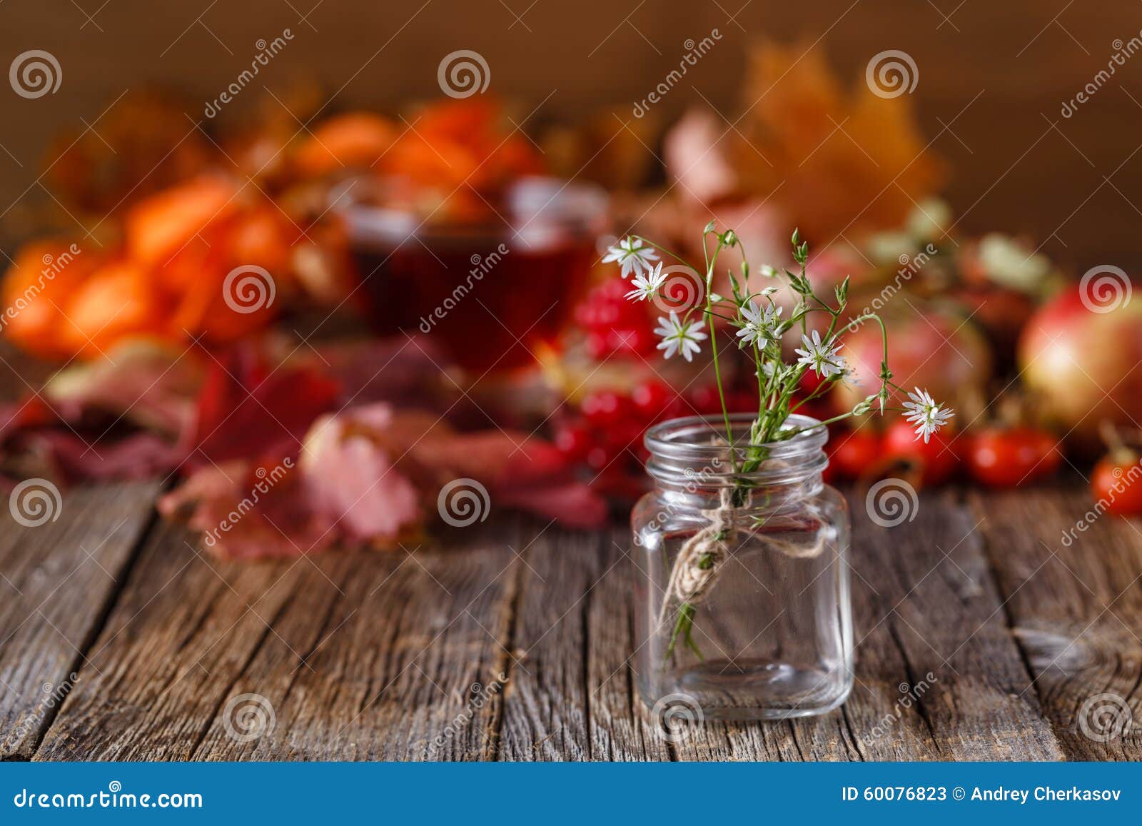 Fall Harvesting on Rustic Wooden Background Stock Image - Image of ...