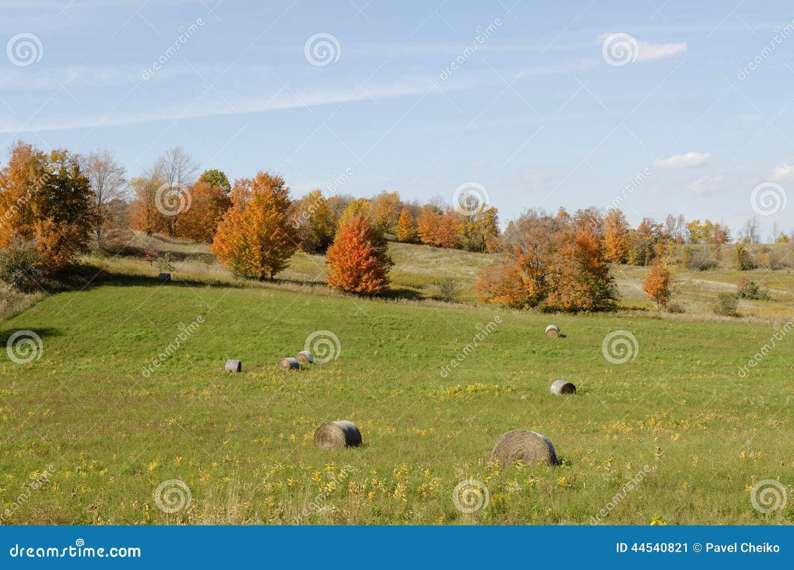 Fall stock image. Image of farming, autumn, corn, bale - 44540821