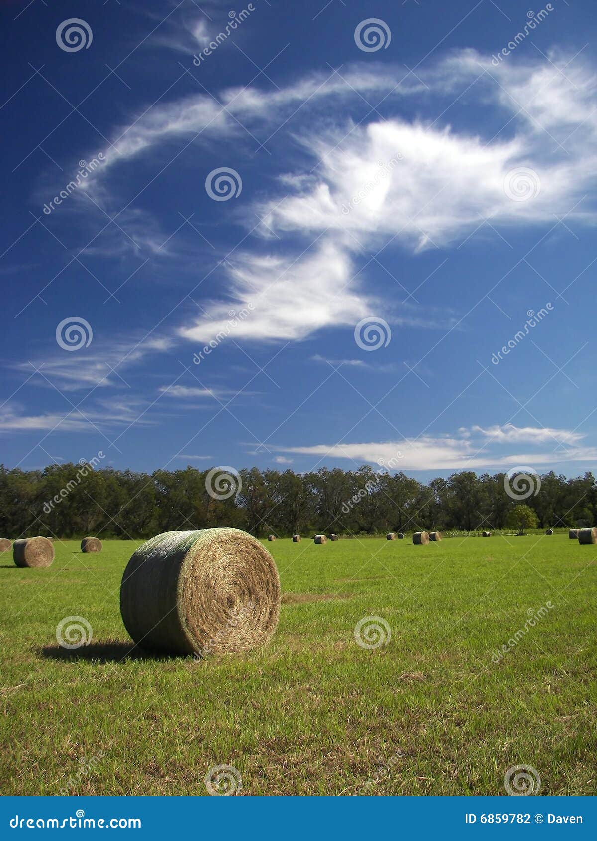 Fall Hay Color 1 stock photo. Image of outdoor, fall, roll - 6859782