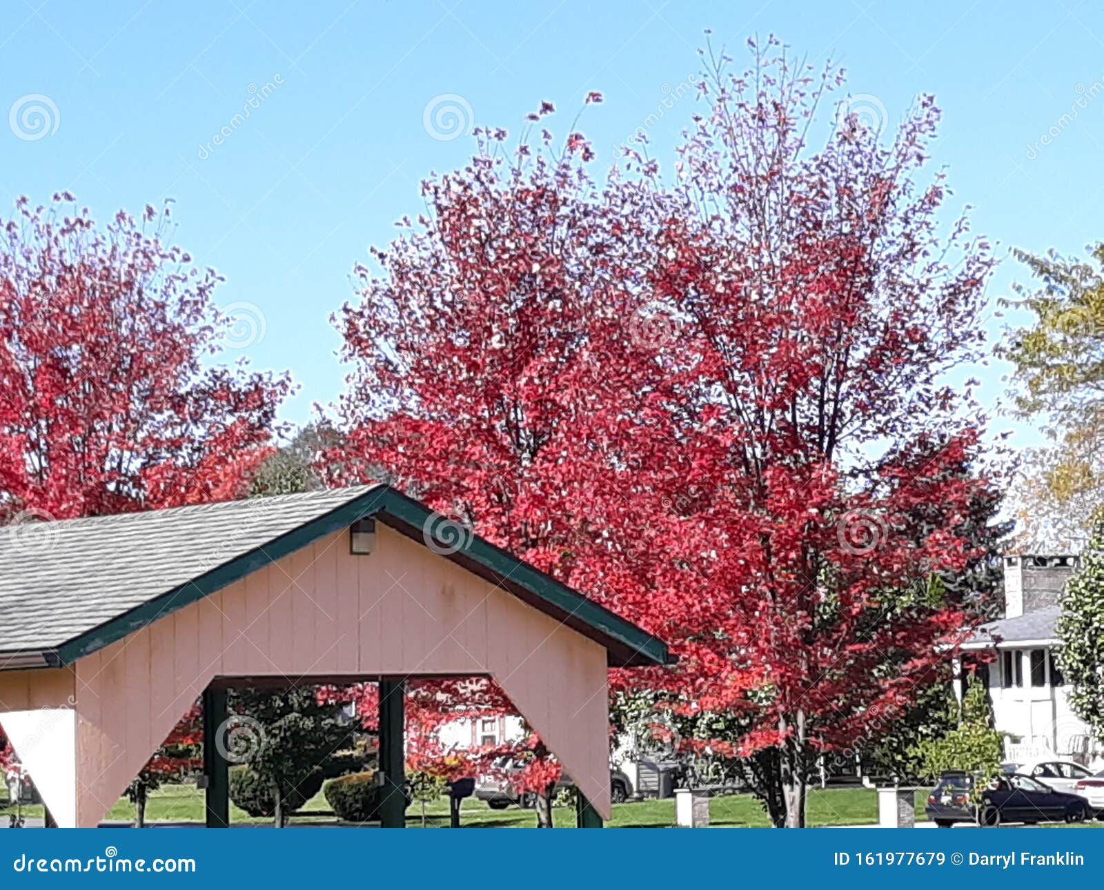 Fall is here stock image. Image of fall, showing, colors - 161977679