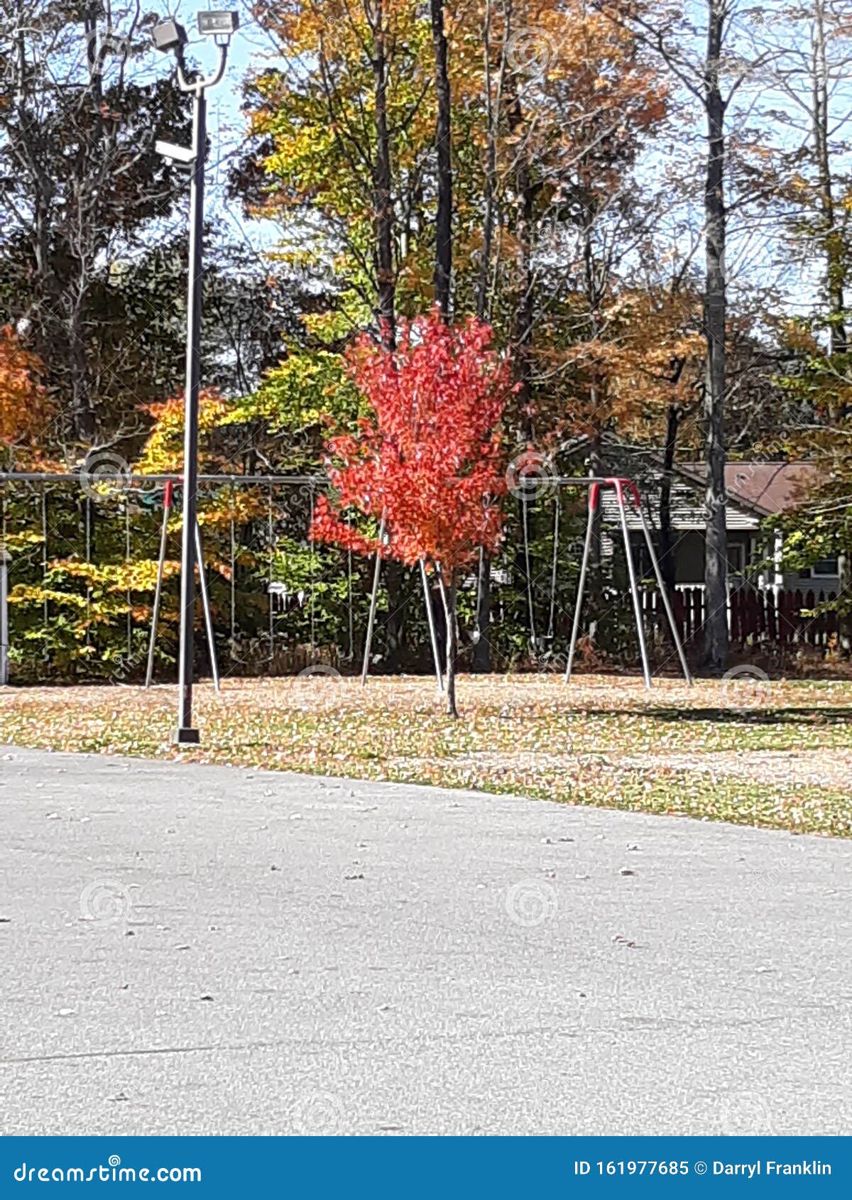 Fall is here stock image. Image of showing, beautiful - 161977685