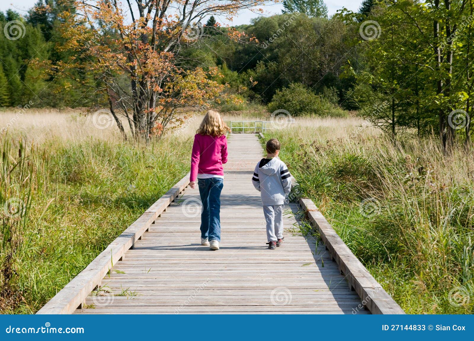 Fall hike stock image. Image of sunshine, wetland, childhood - 27144833