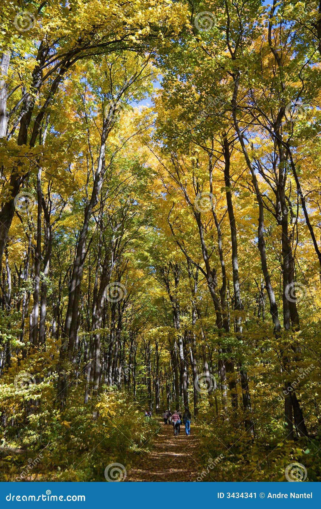 Fall Hiking stock image. Image of trail, people, foliage - 3434341