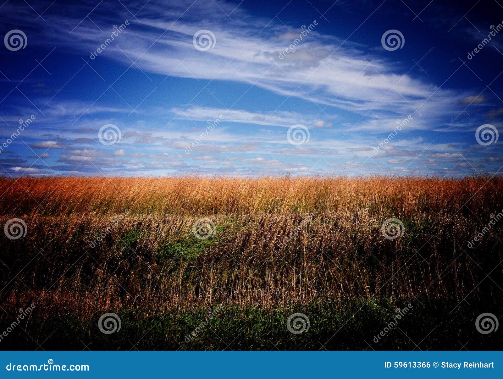 Fall Horizons on the Plains Stock Photo - Image of fall, prairie: 59613366