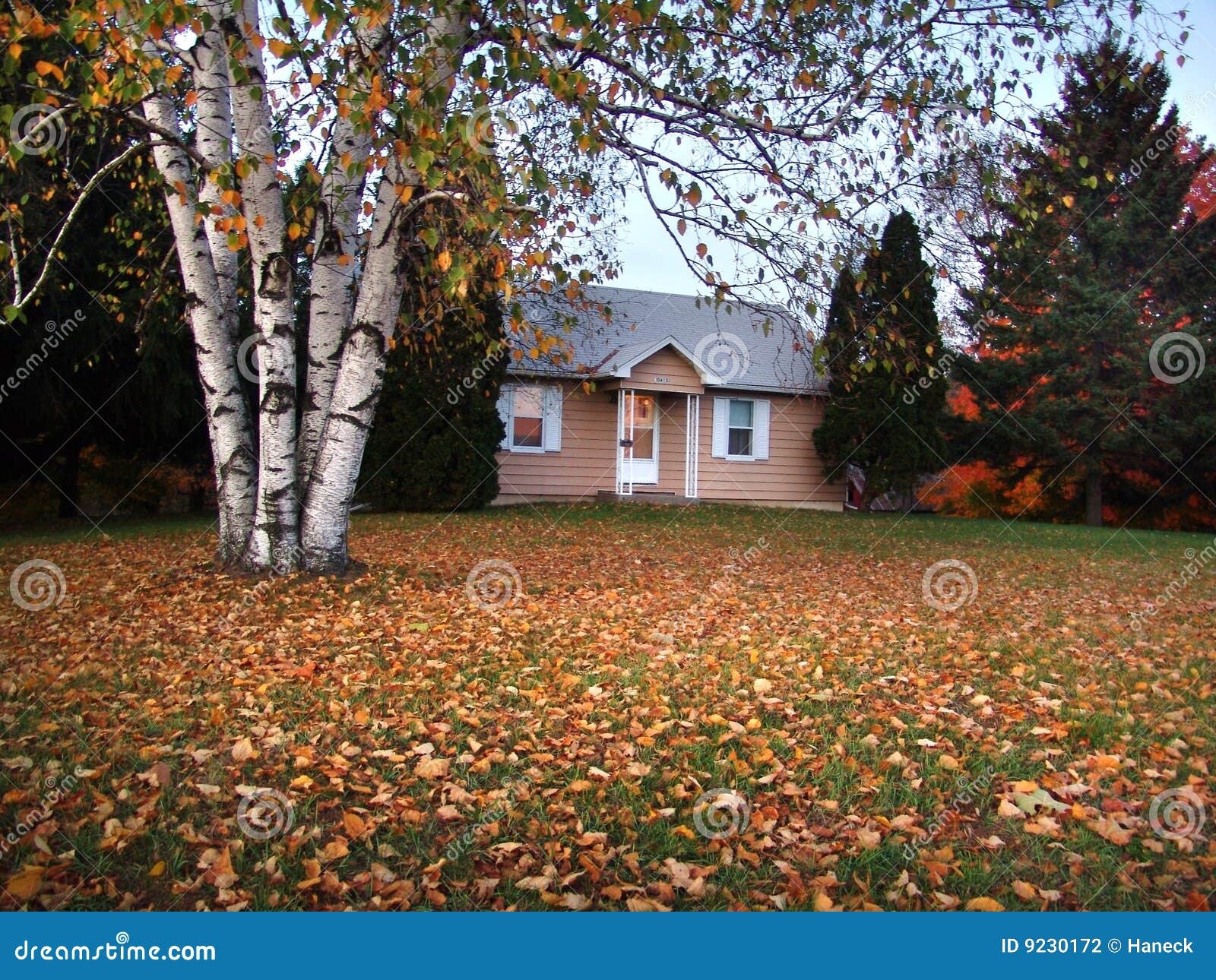 Fall house stock photo. Image of front, bright, color - 9230172