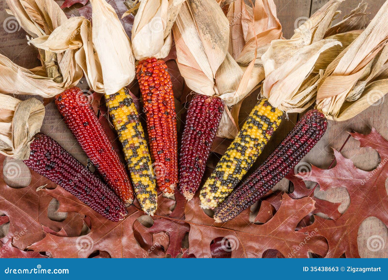 Fall Indian Corn with Leaves Stock Image - Image of leaves, food: 35438663
