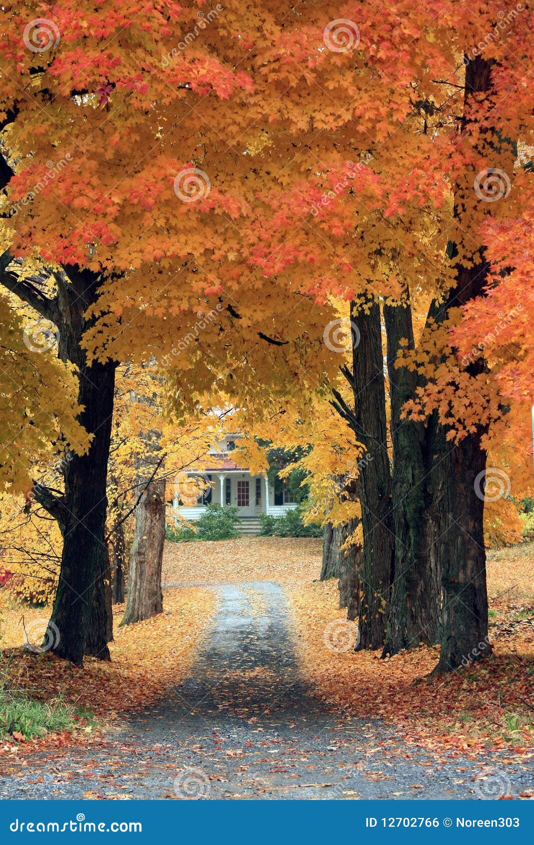 Fall at its best stock photo. Image of farm, colored - 12702766