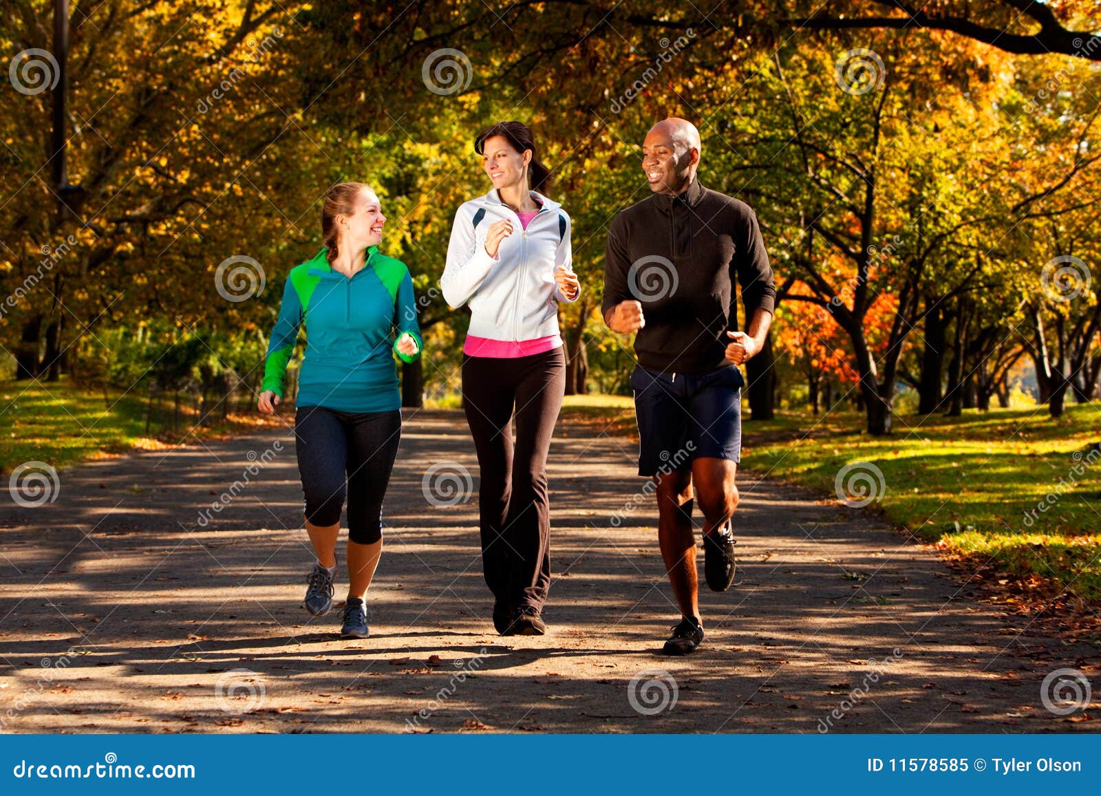 Fall Jog Park stock image. Image of adult, central, pretty - 11578585