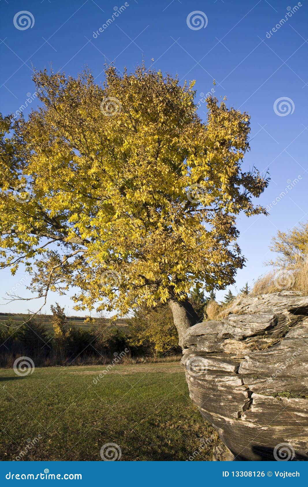 Fall in Kansas stock photo. Image of midwest, traffic - 13308126