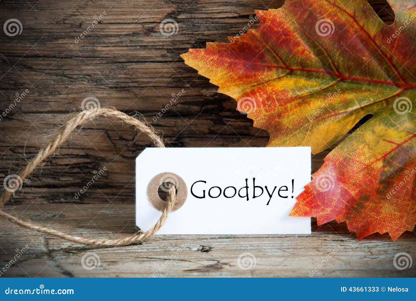 Fall Label with Goodbye stock image. Image of concept - 43661333