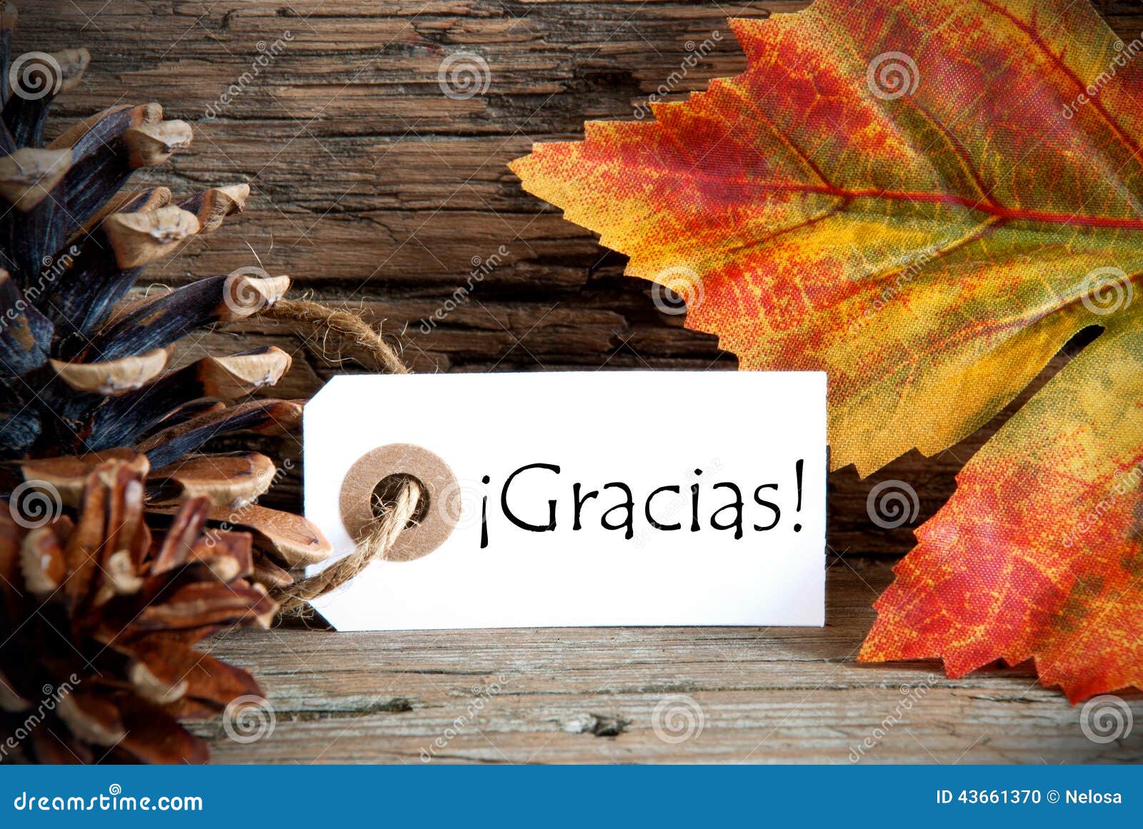 Fall Label with Gracias stock photo. Image of congratulations - 43661370