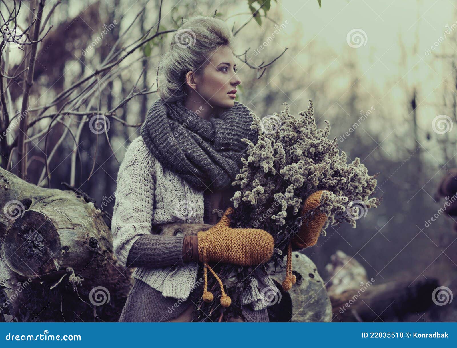 Fall lady stock photo. Image of face, cute, fall, adult - 22835518
