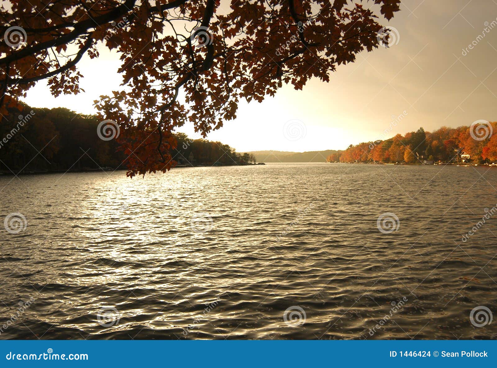 Fall on the lake stock photo. Image of sunset, water, fall - 1446424