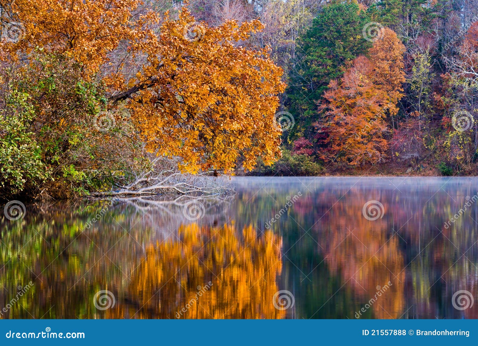 Fall on the Lake stock photo. Image of hazy, haze, fall - 21557888