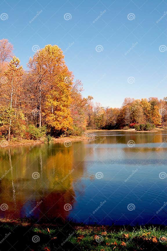 Fall Lake stock image. Image of background, reflection - 3549325