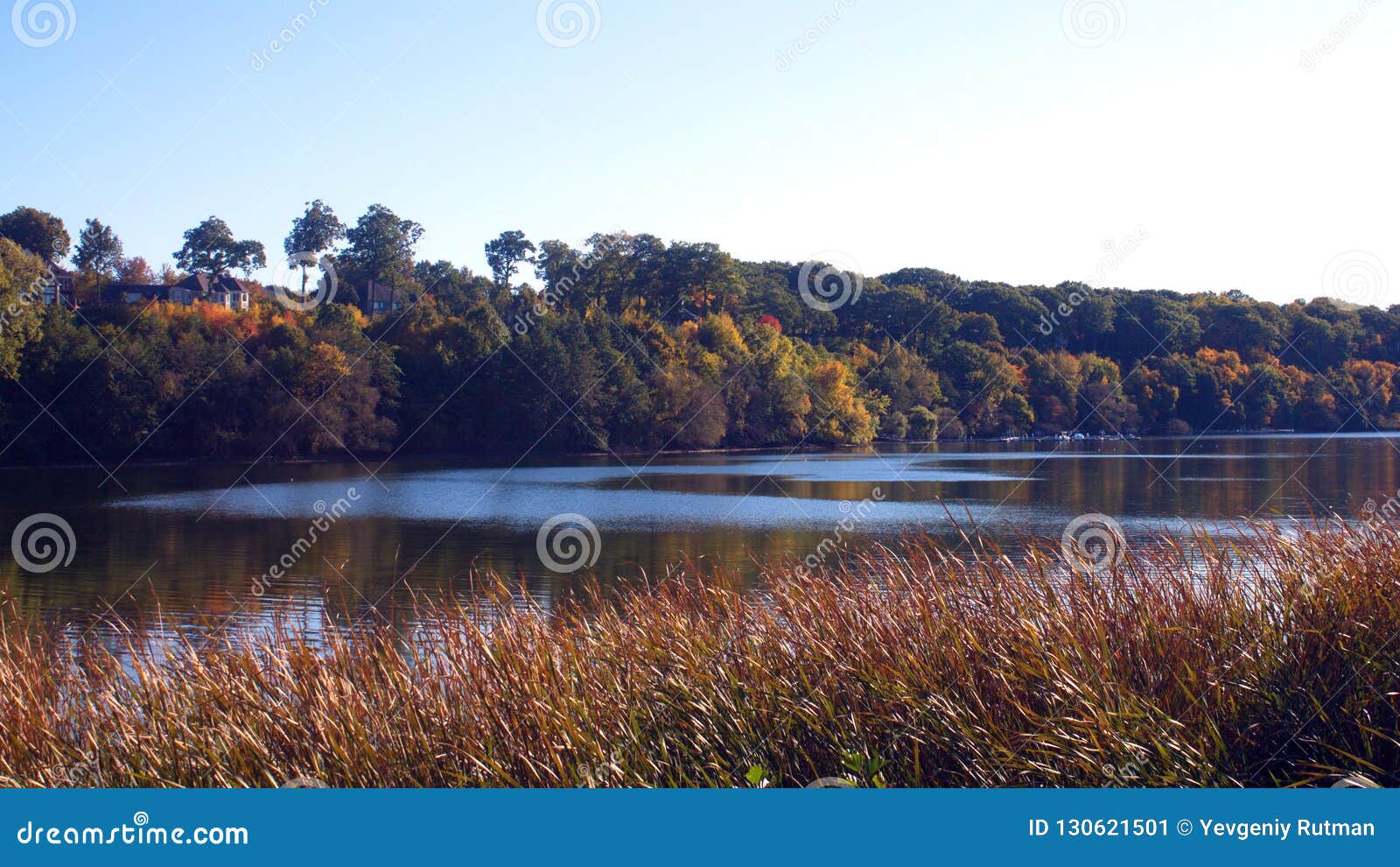 Fall on the Lake Ontario stock image. Image of tree - 130621501
