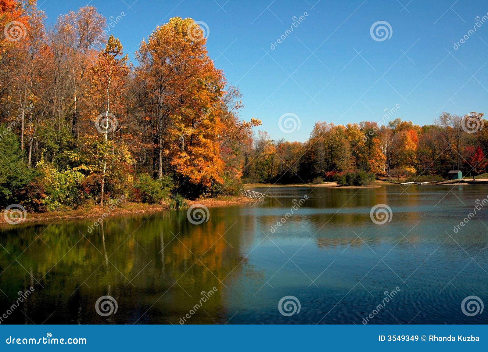 Fall Lake Scene stock image. Image of rural, cover, countryside - 3549349