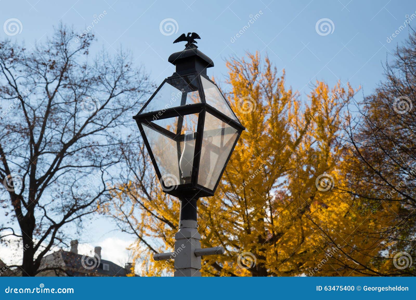 Fall Lamp Post stock photo. Image of lamp, autumn, colorful - 63475400