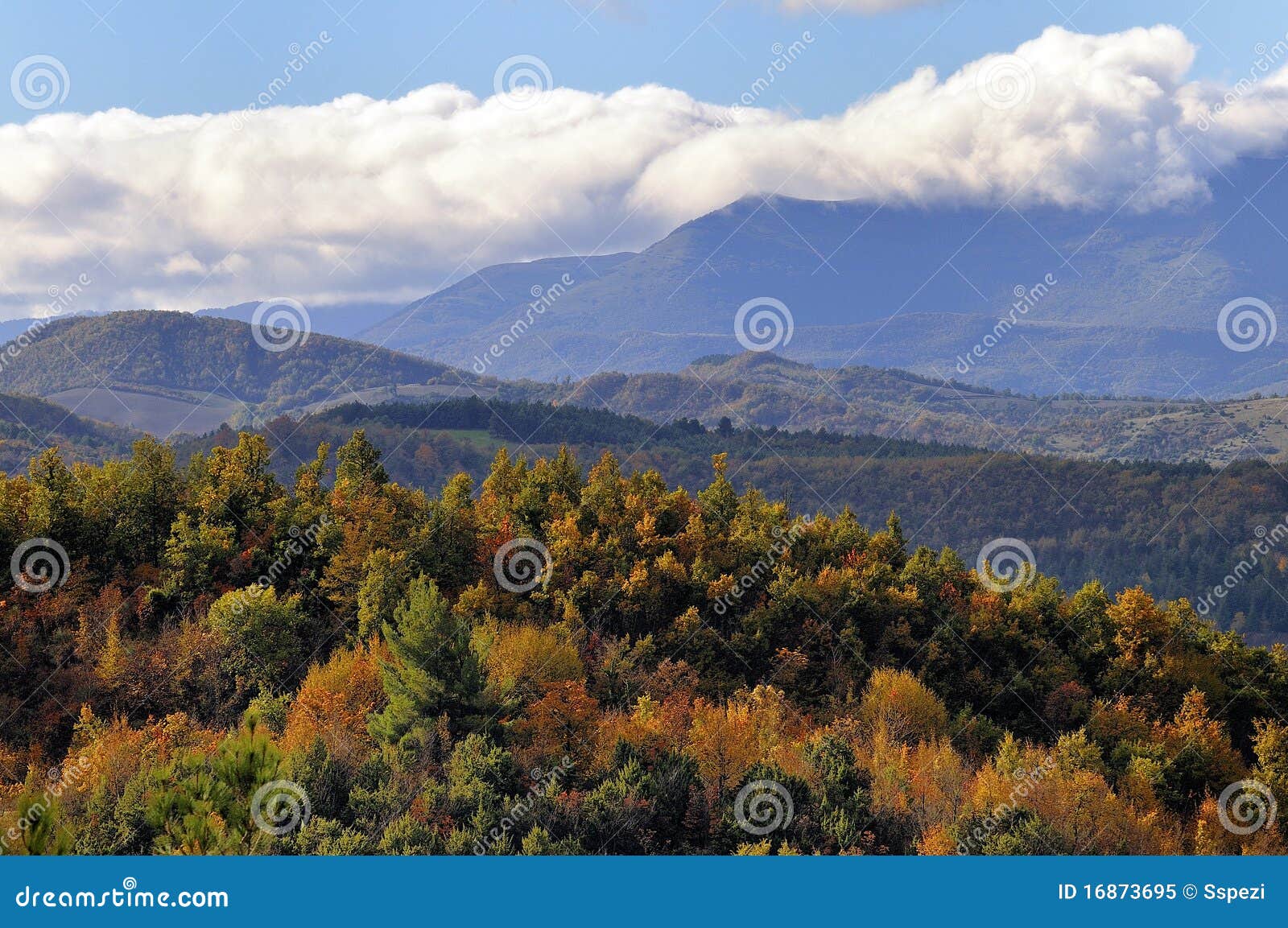 Fall landscape stock image. Image of mountain, wilderness - 16873695