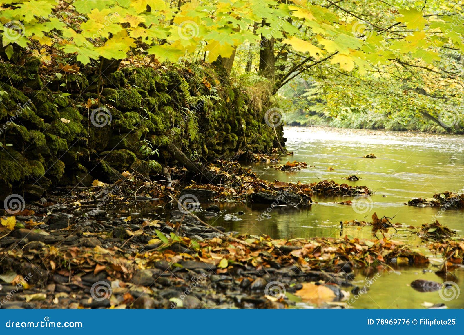 Fall Landscape Along River Banks Stock Photo - Image of leaves, beech ...