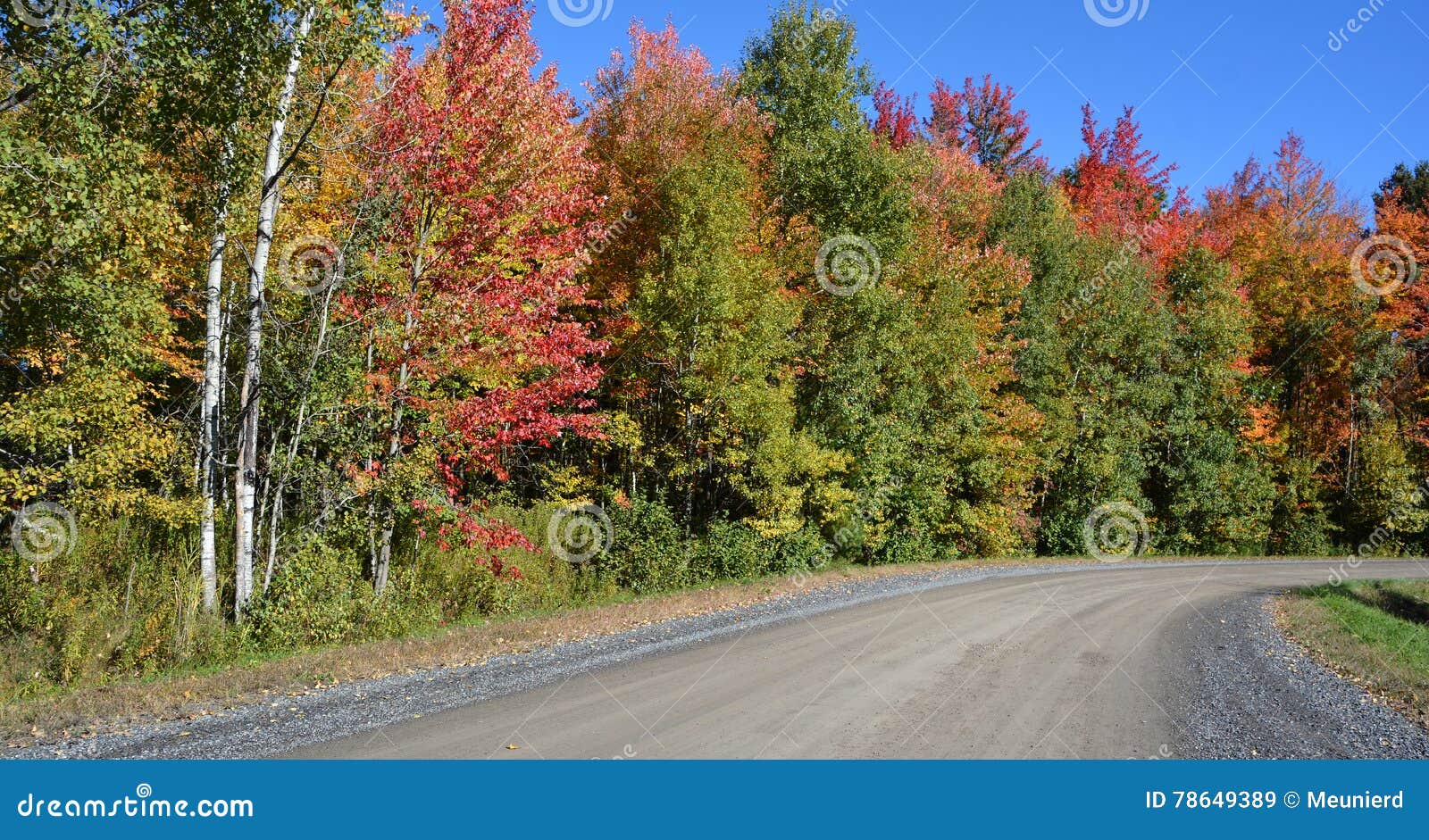 Fall landscape, stock image. Image of geese, clear, peace - 78649389