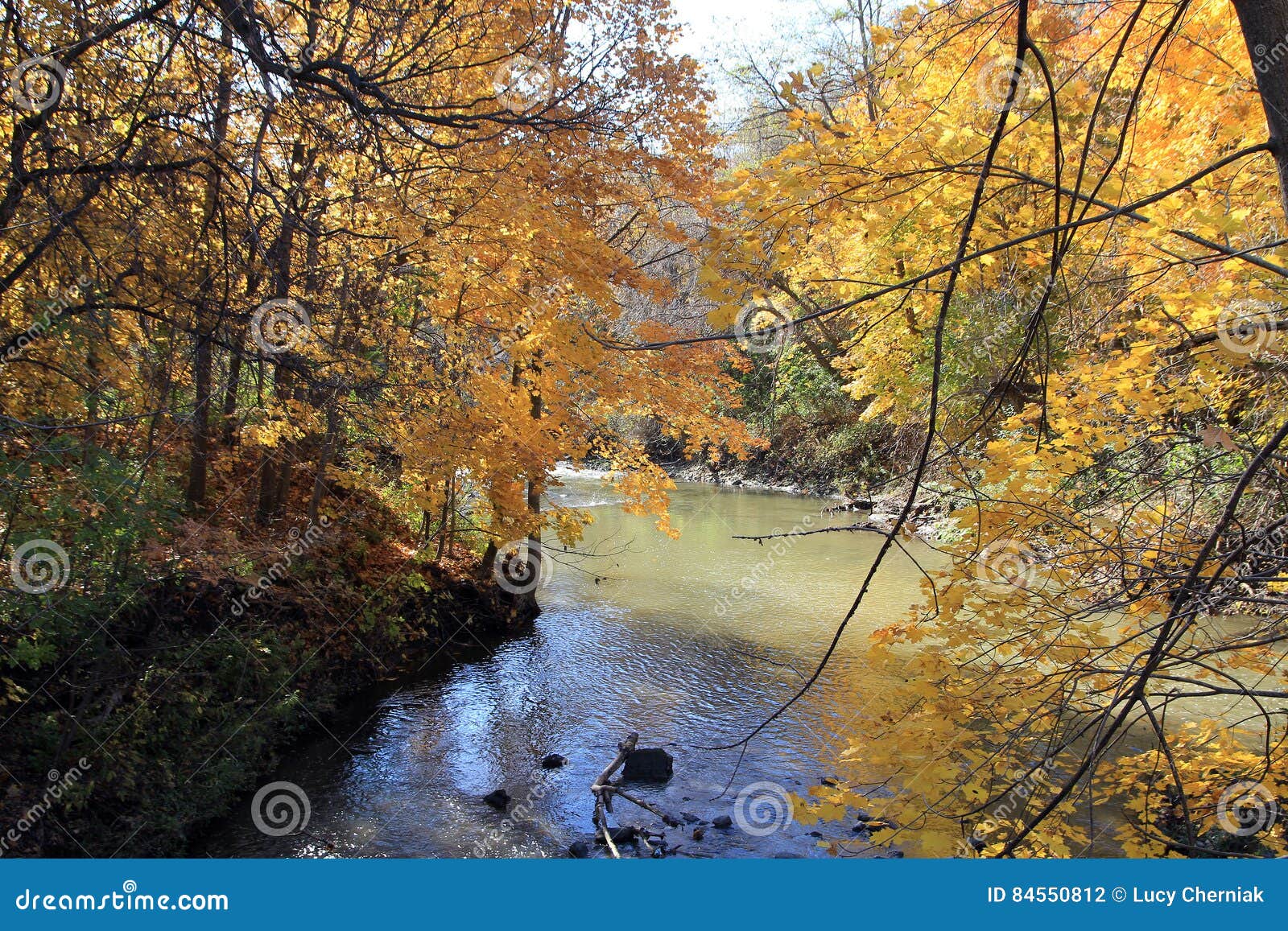 Fall Landscape stock photo. Image of color, river, fall - 84550812