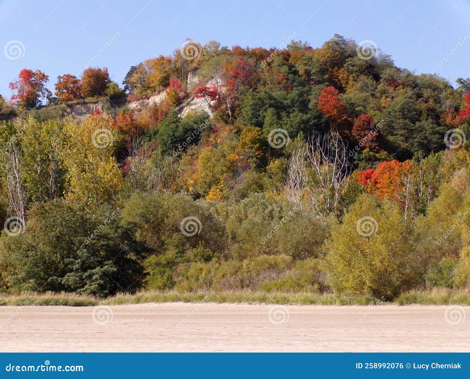 Fall Landscape stock photo. Image of season, fall, bluff - 258992076