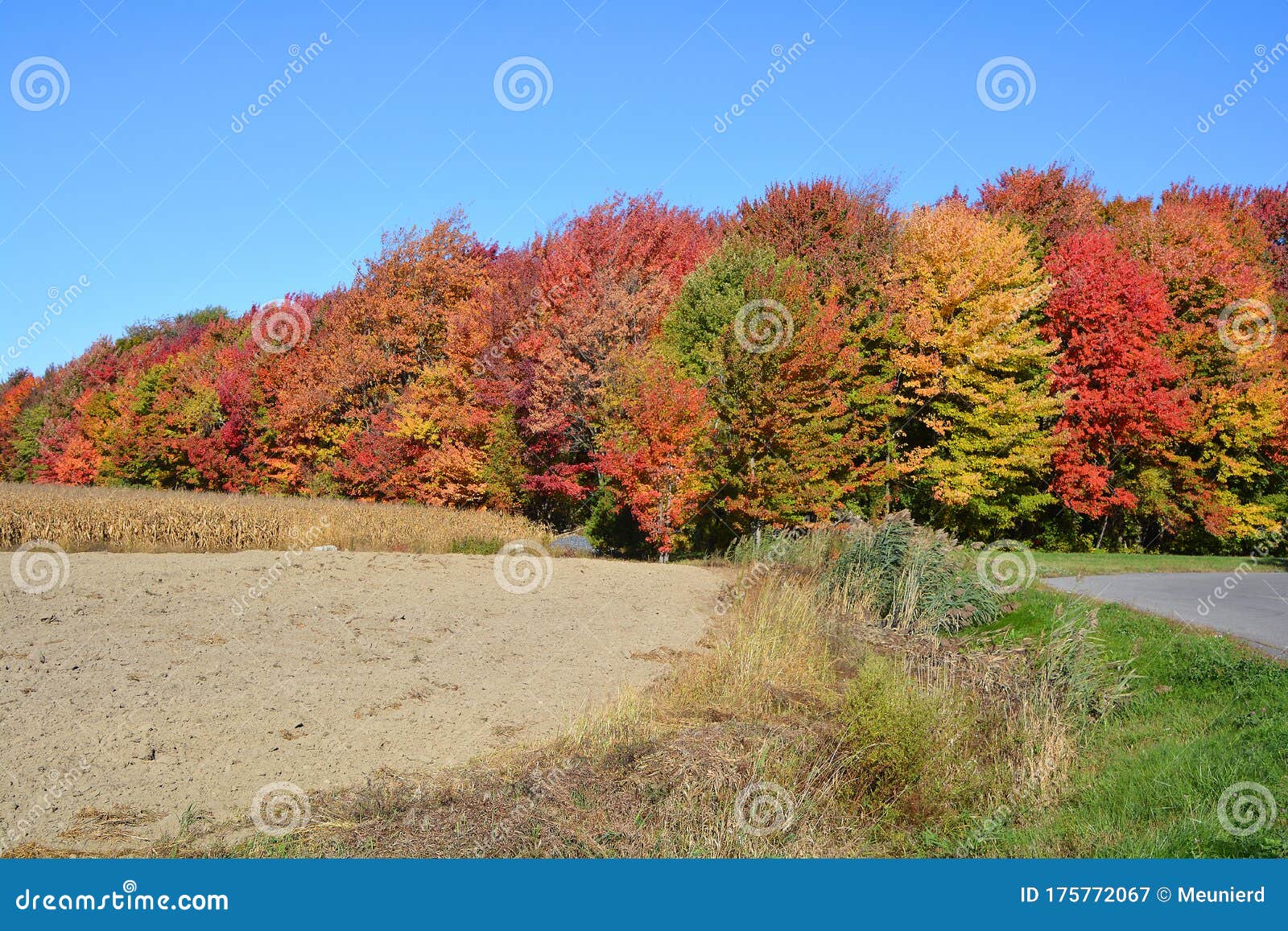 Fall Landscape Eastern Townships Quebec Stock Image - Image of autumn ...