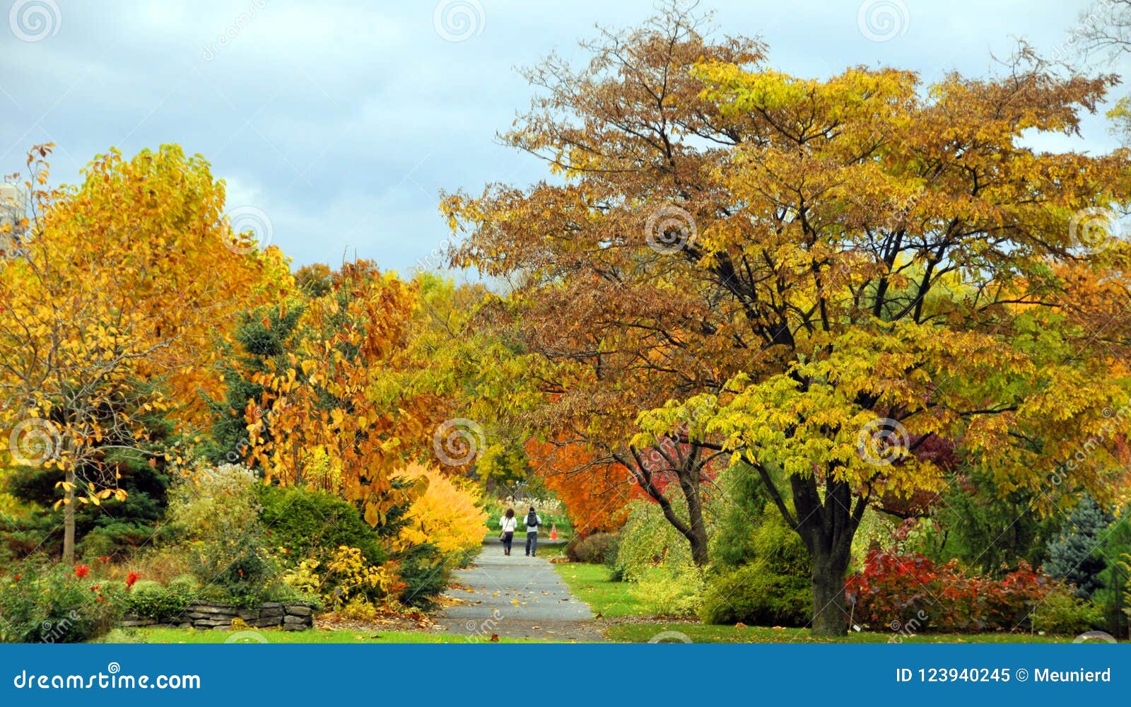 Fall landscape stock image. Image of canadian, colours - 123940245