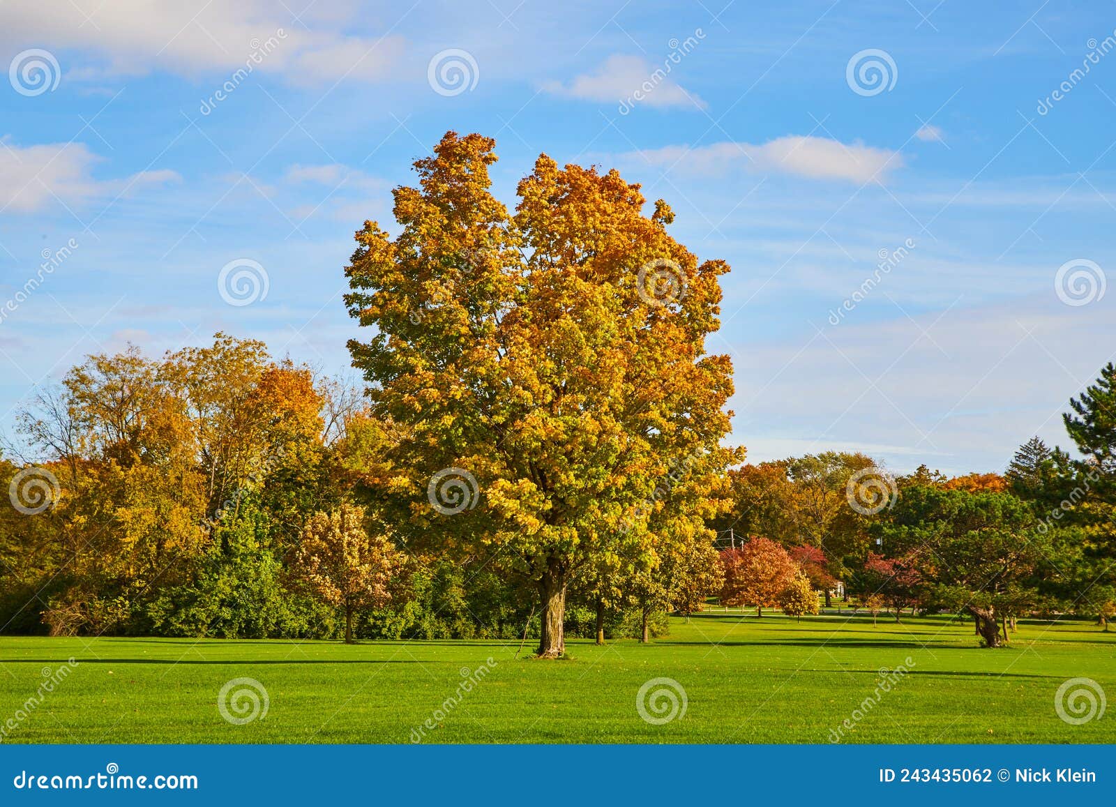 Fall Landscape on Field of Clean Grass Stock Photo - Image of landscape ...