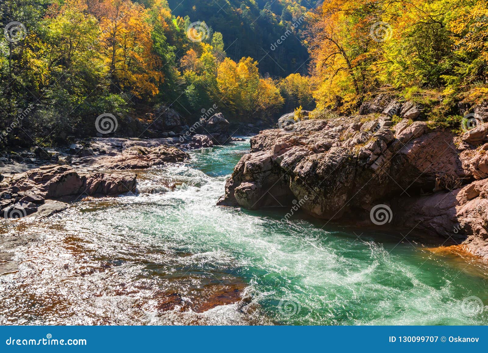 Fall Landscape with Mountain River and Forest Stock Image - Image of ...