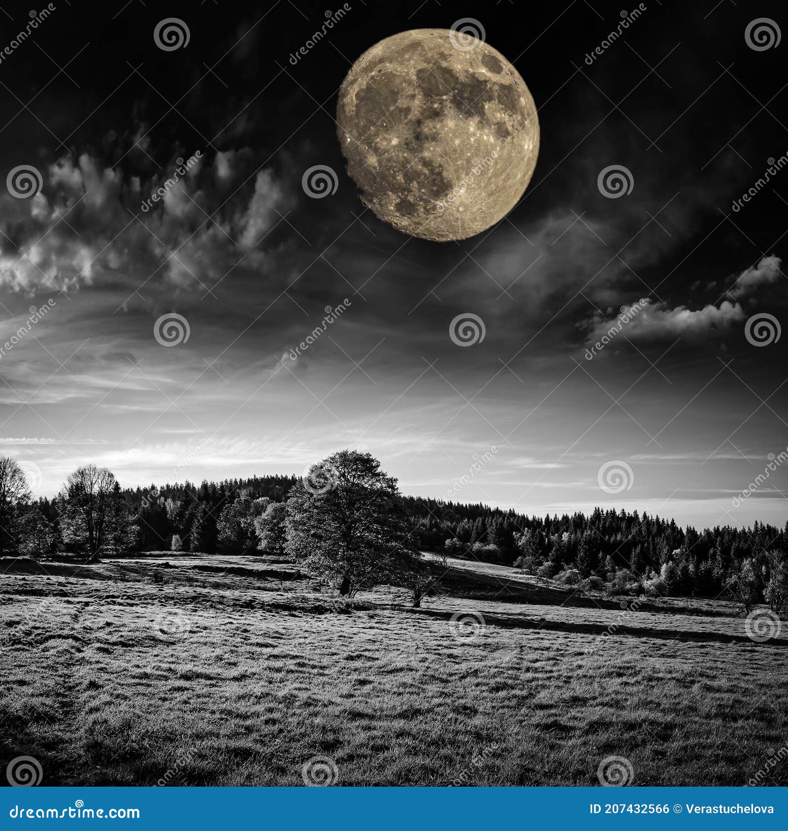 Fall Landscape in the Night and the Moon Stock Photo - Image of nature ...