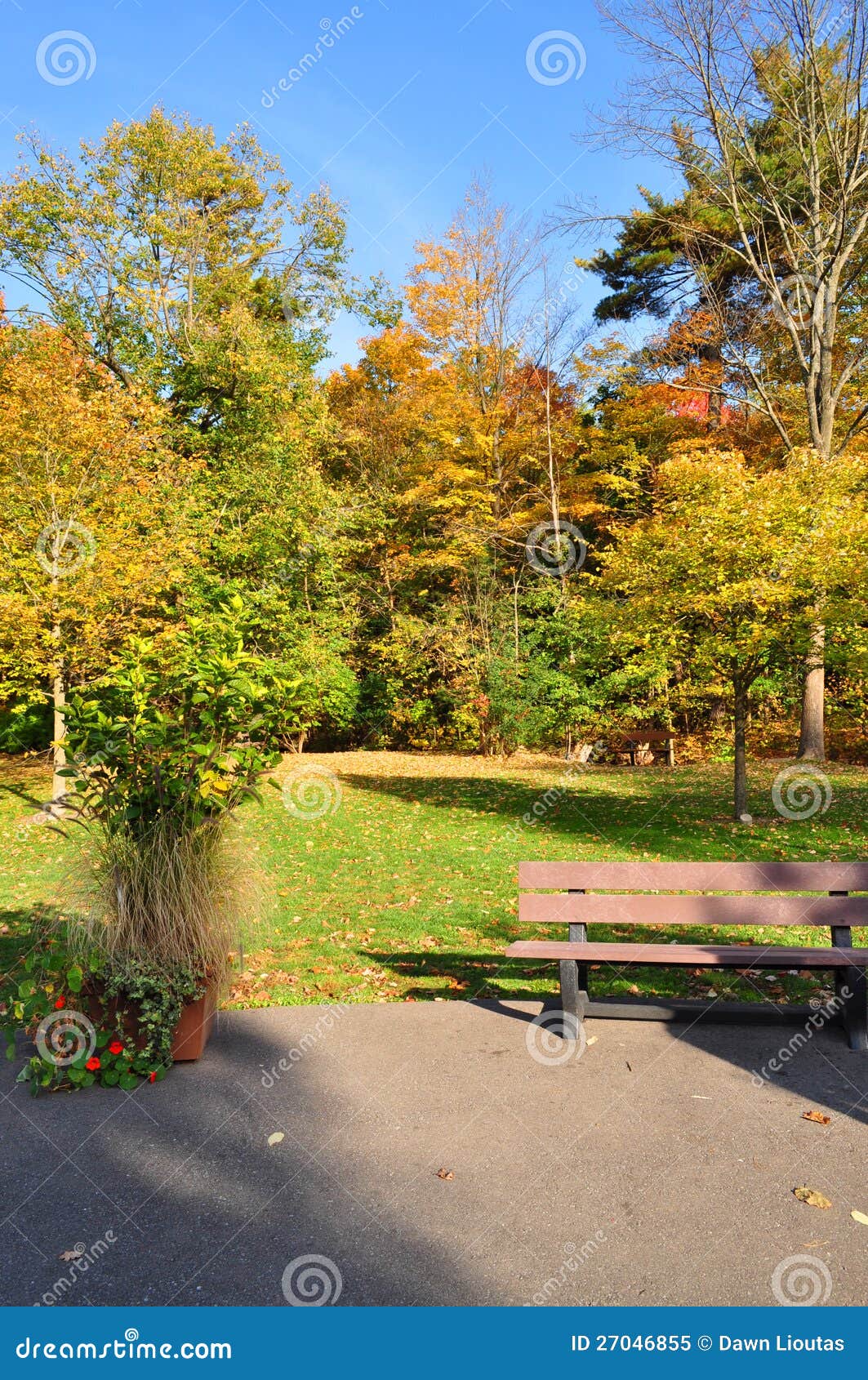 Fall Landscape, Park Bench stock image. Image of park - 27046855