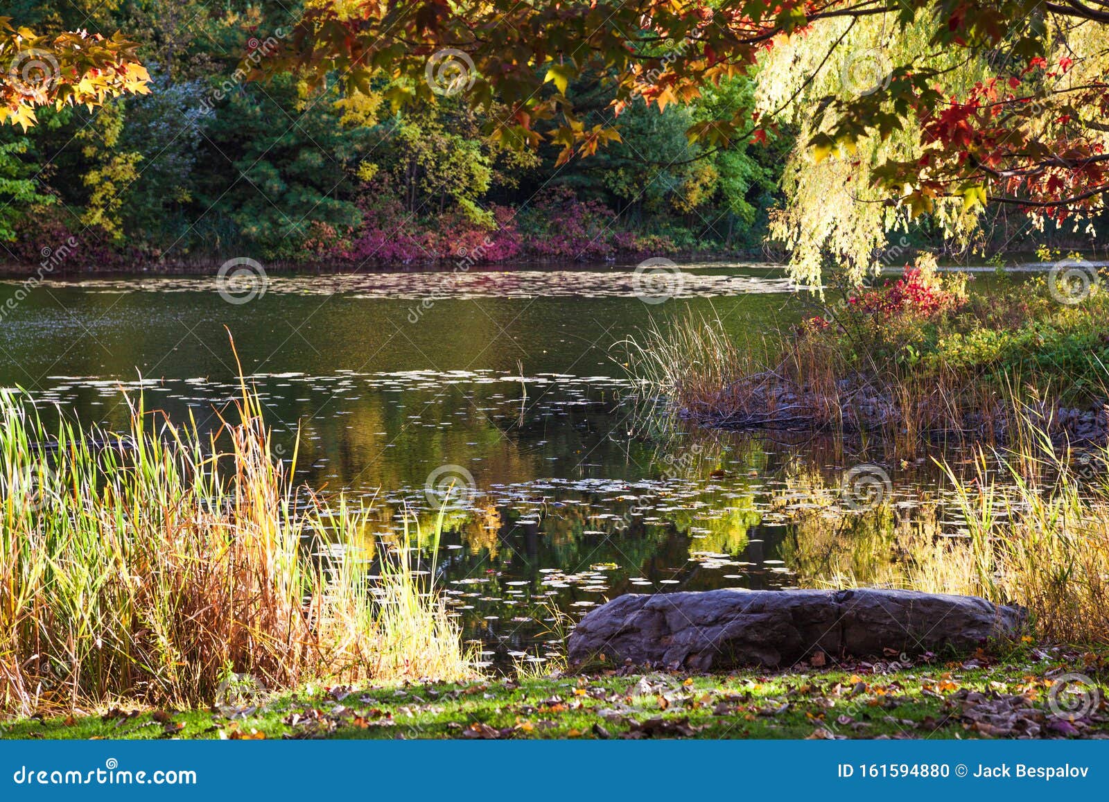 Fall Landscape in Park of Montreal Stock Photo - Image of environment ...