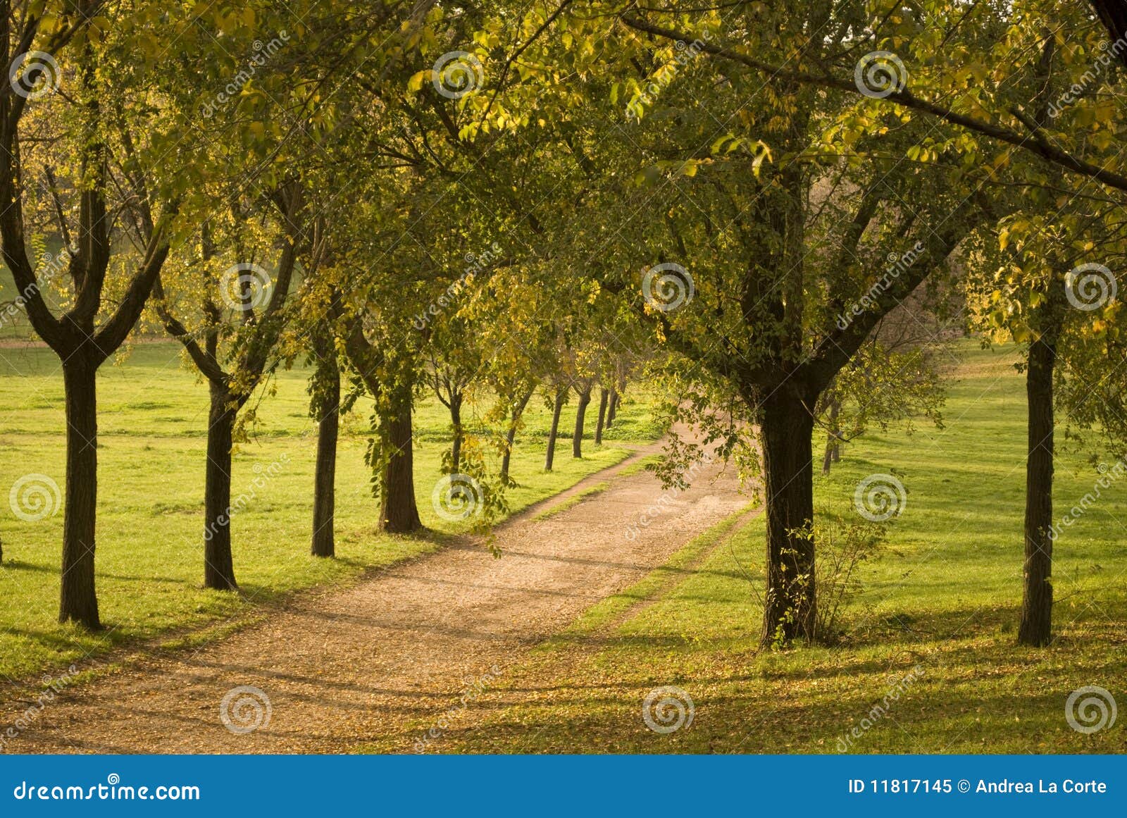 Fall Landscape In A Park, Rome, Italy Picture. Image: 11817145