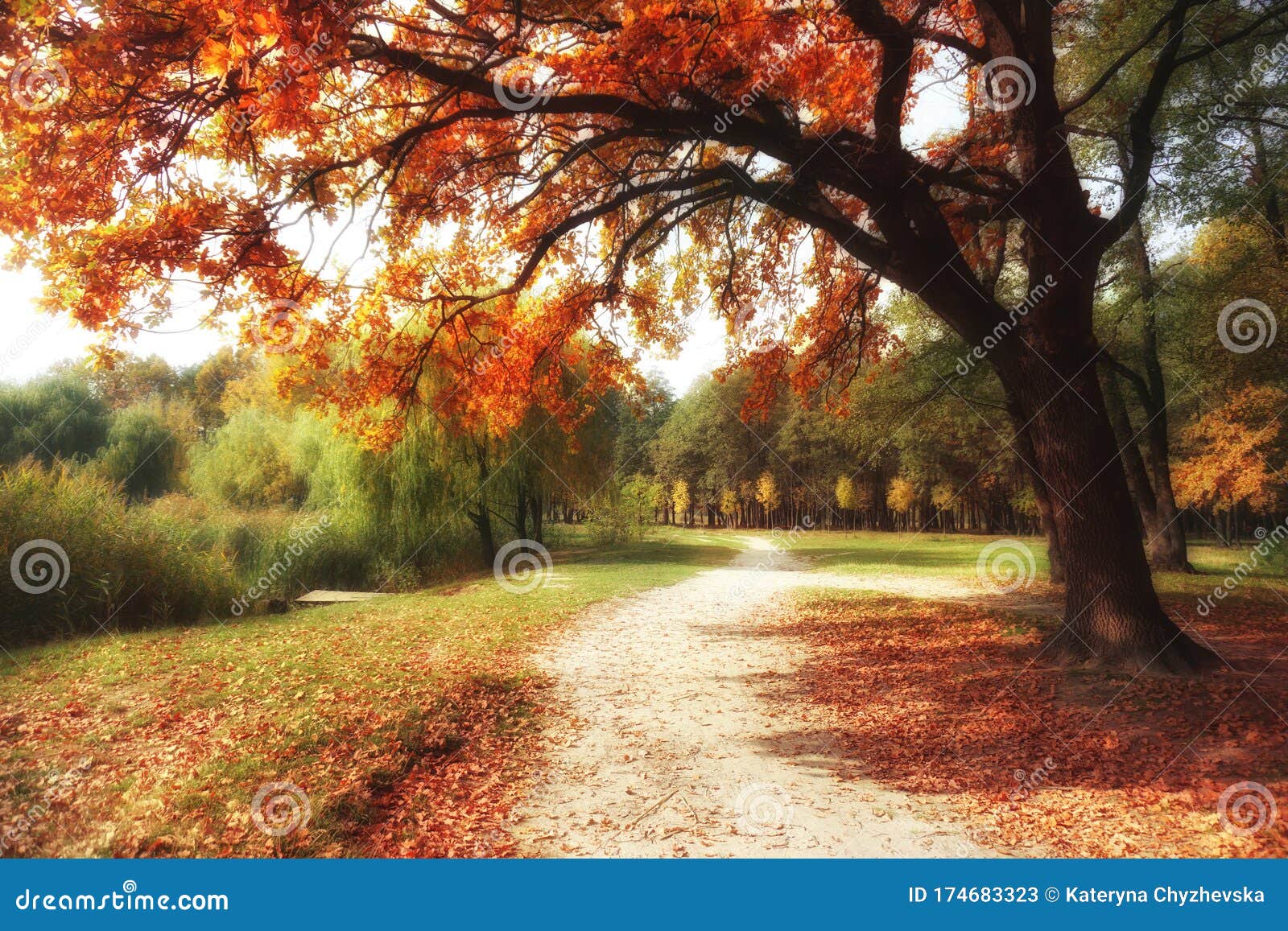 Fall Landscape. Path Leading through the Autumn Park Under a Large Oak ...