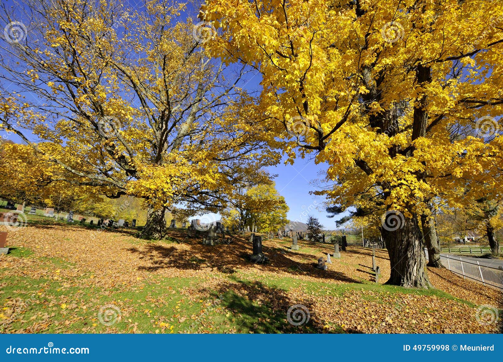 Fall landscape stock photo. Image of background, canada - 49759998