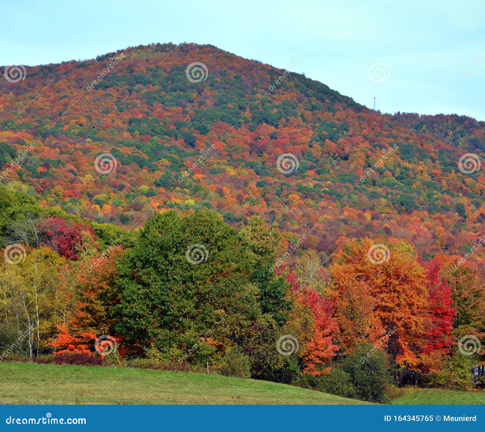 Fall landscape Quebec stock image. Image of environment - 164345765