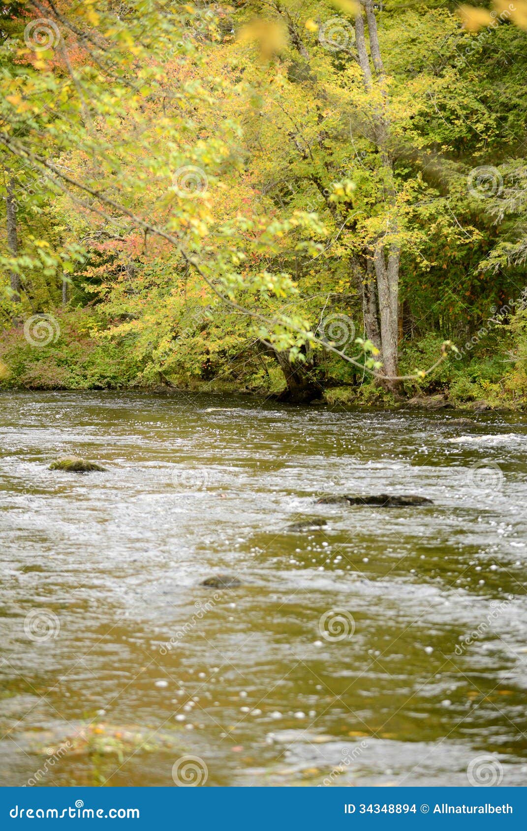 Fall landscape with river stock photo. Image of freshwater - 34348894