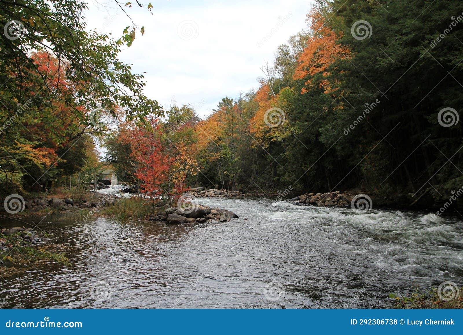 Fall landscape with river stock photo. Image of fall - 292306738