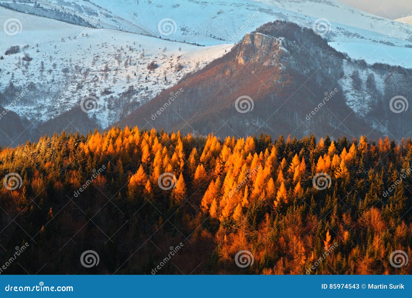 Fall landscape in Slovakia stock image. Image of pasture - 85974543
