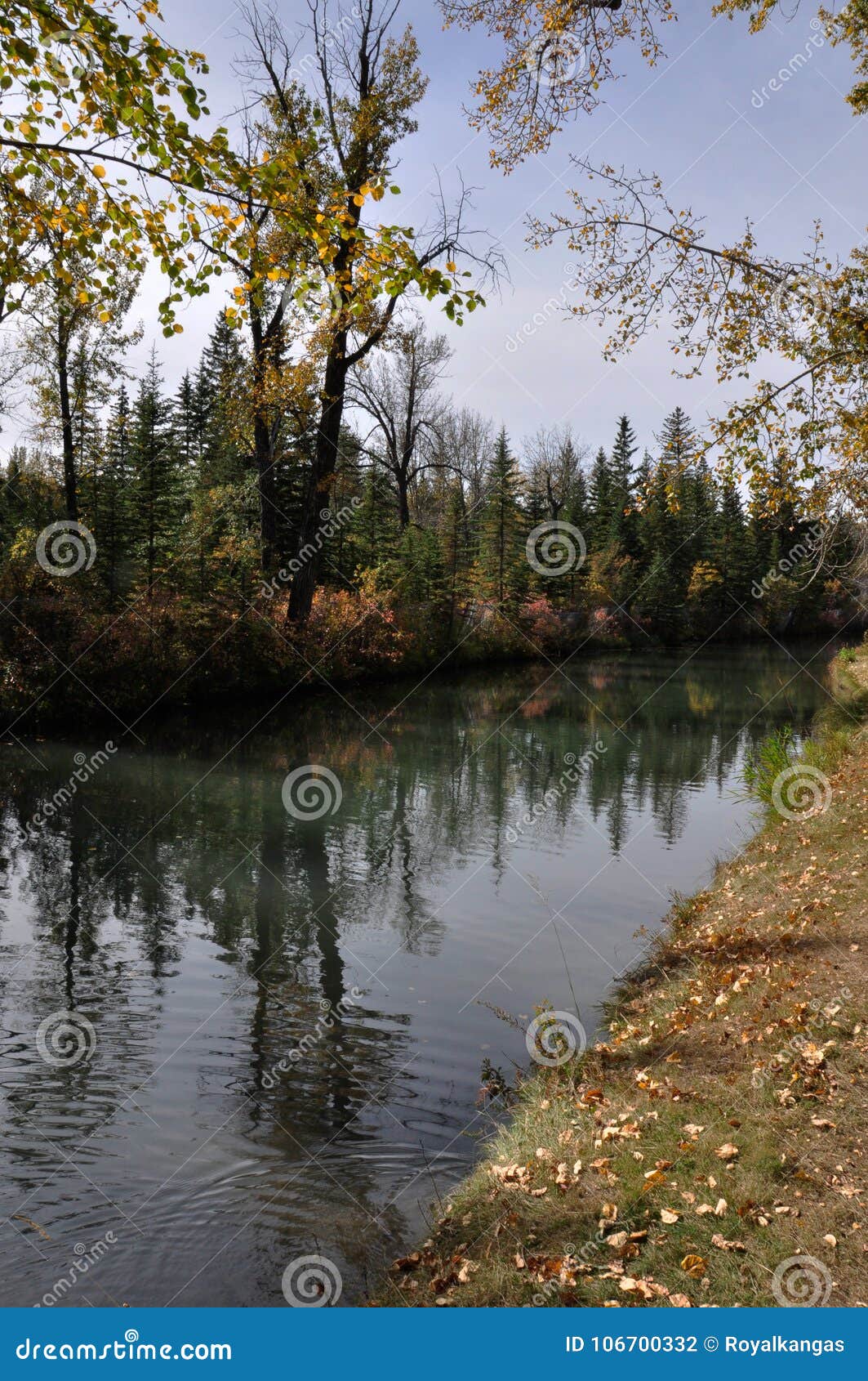 Fall Colors by the River stock photo. Image of orange - 106700332