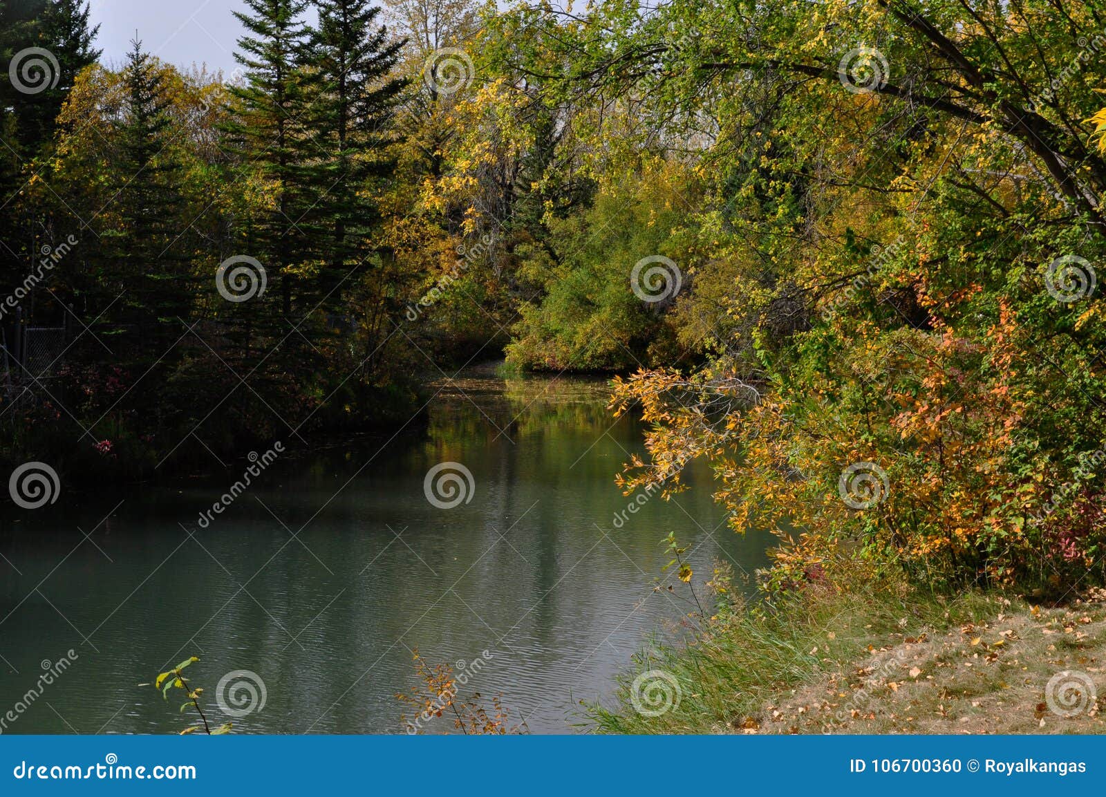Fall Colors by the River stock photo. Image of rivers - 106700360