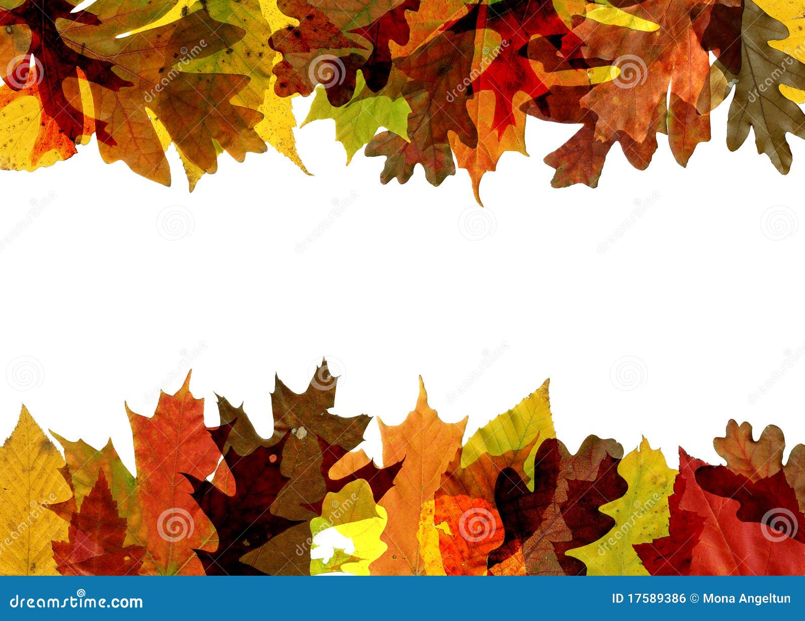 Fall leaf border stock illustration. Illustration of orange - 17589386