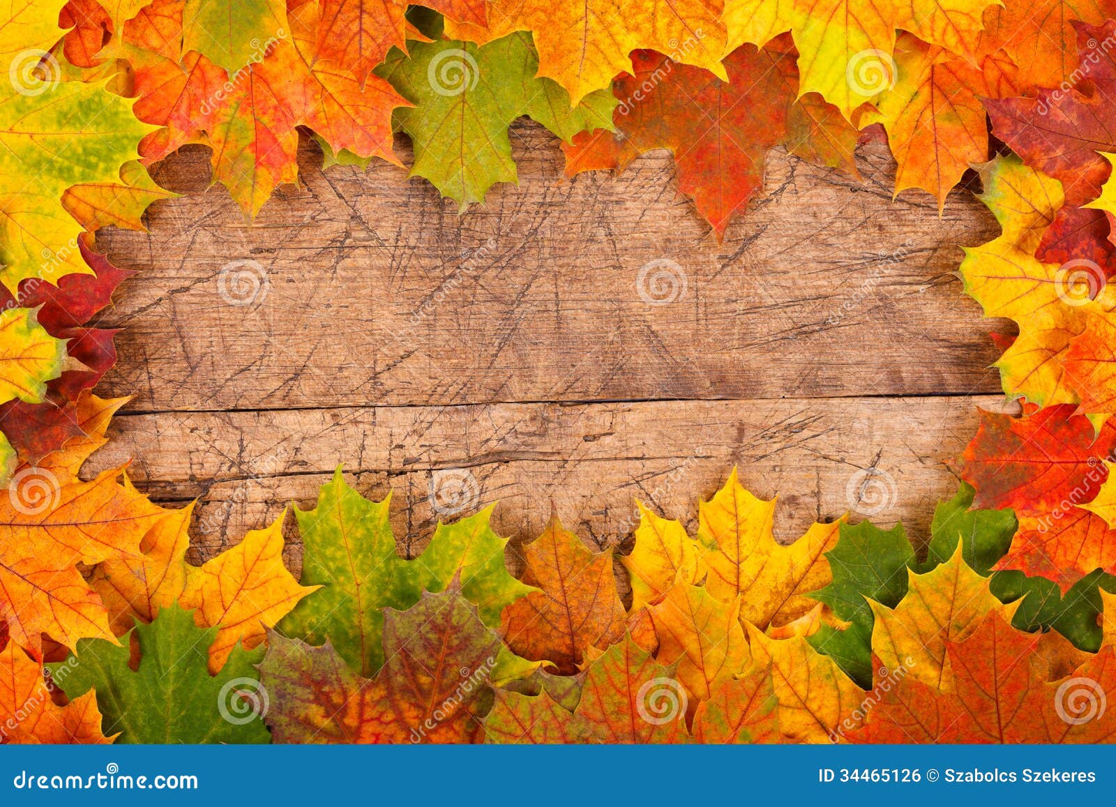 Fall leaf border stock photo. Image of rustic, november - 34465126