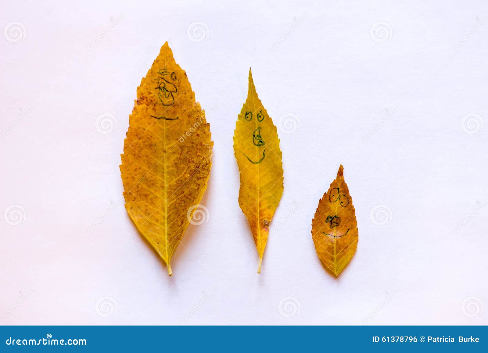 Fall Leaf Family stock photo. Image of faces, fall, yellow - 61378796