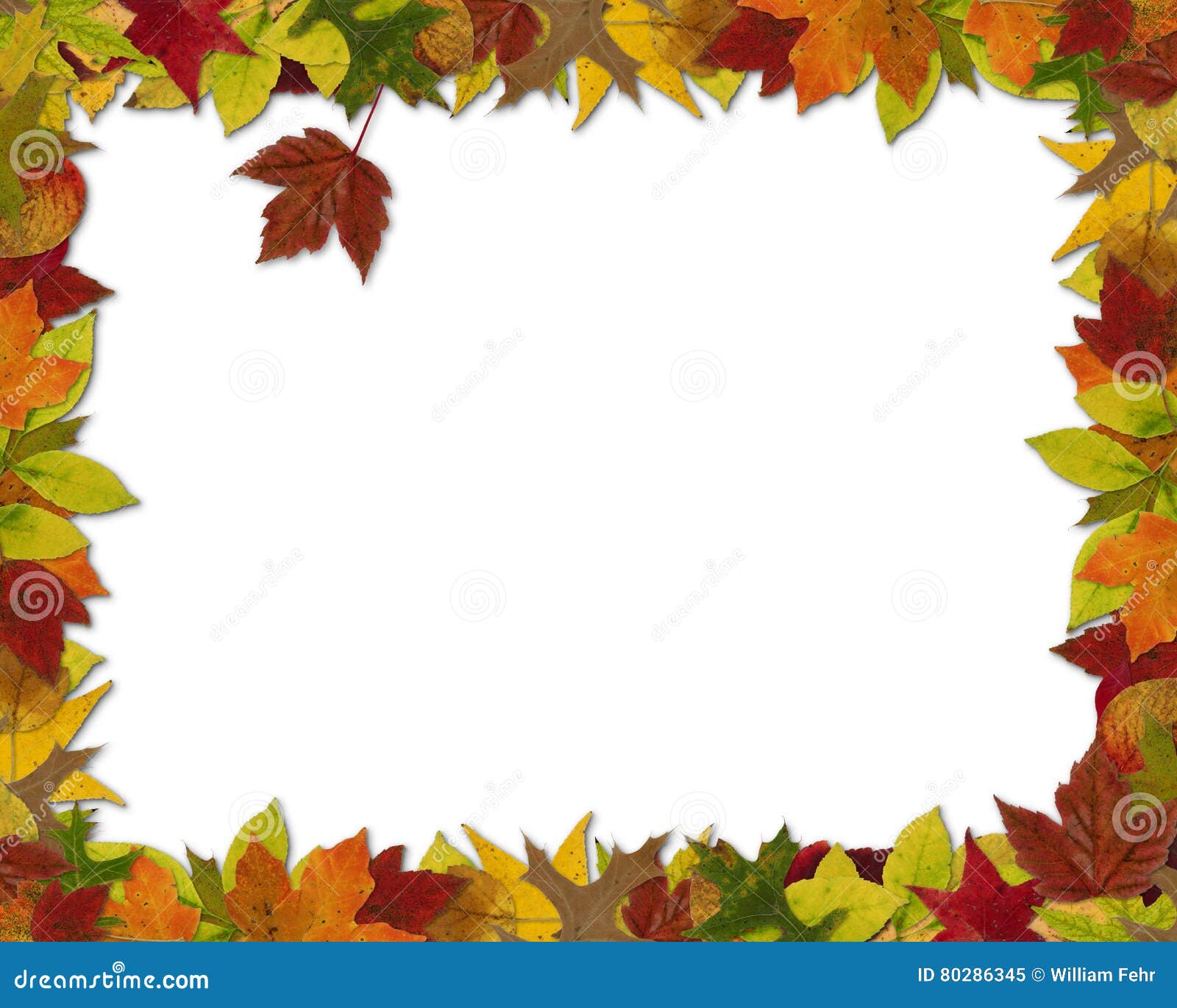 Fall Leaf Frame stock image. Image of autumn, brown, seasonal - 80286345