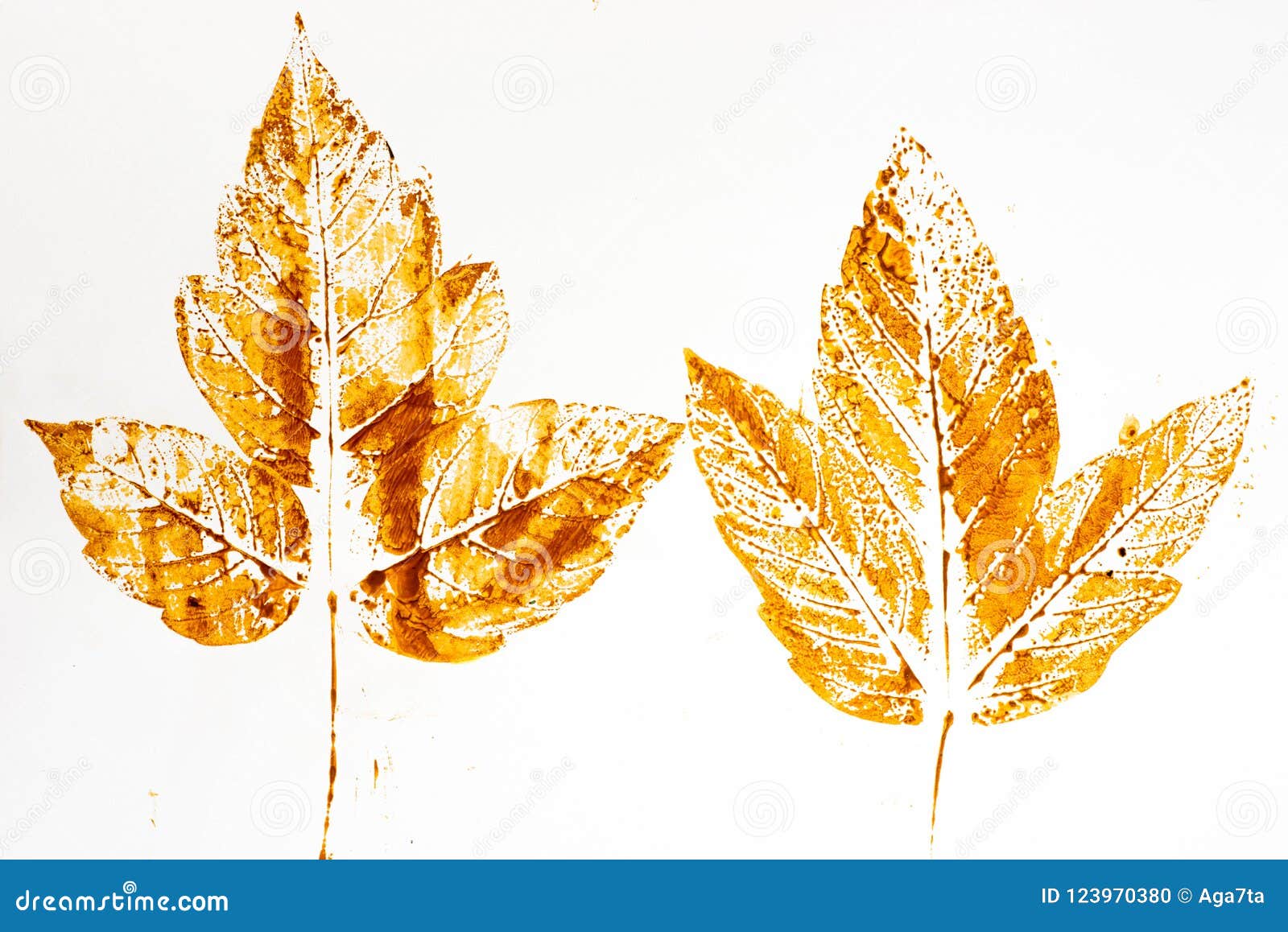 Fall leaf print on paper stock illustration. Illustration of botany ...