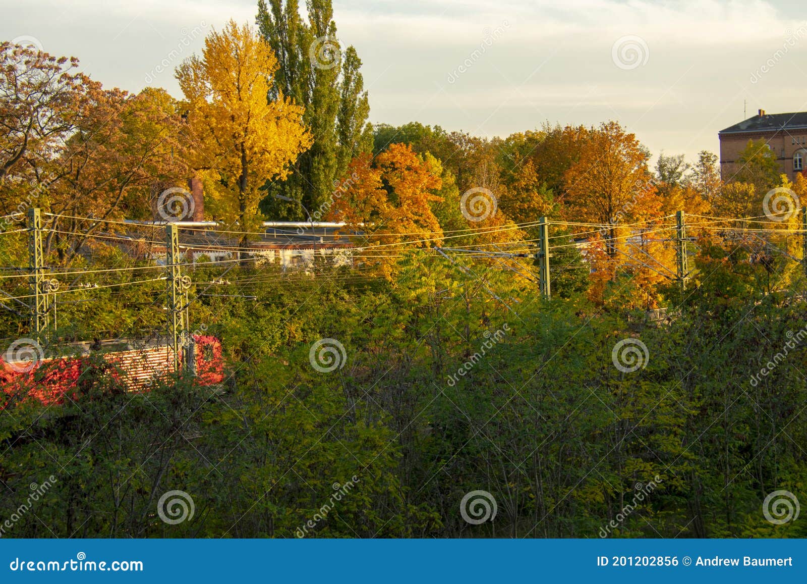 Fall Leaf Tree Landscape and in Schoneberg Berlin Germany Editorial ...